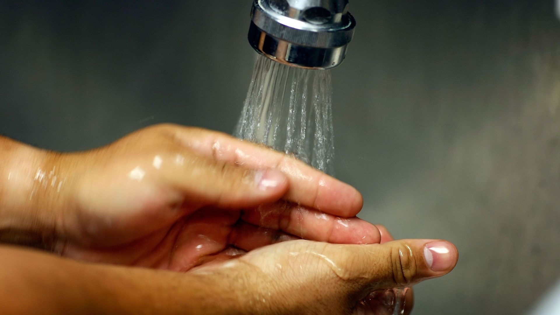 Une molécule pour freiner la progression du staphylocoque doré. - RTBF ...
