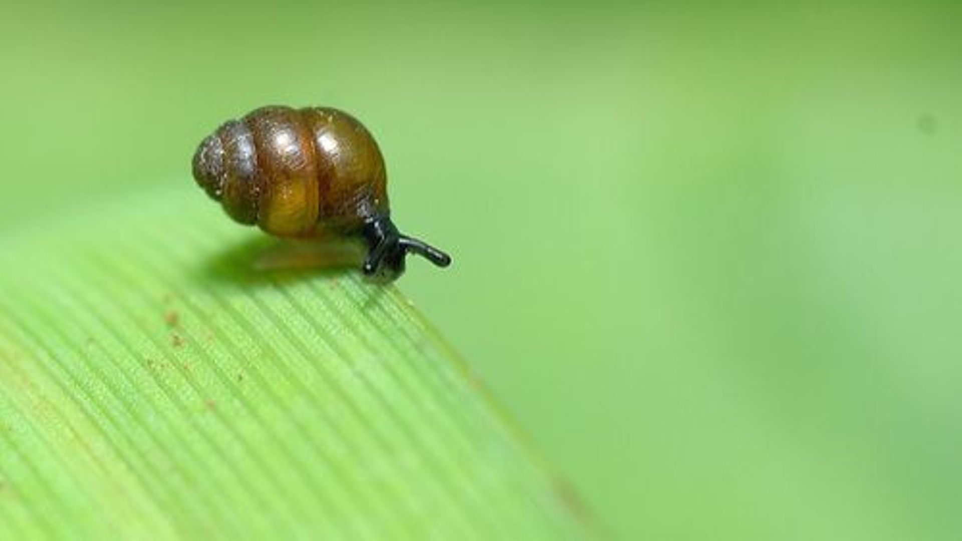 Prenons l'air sur la Première - RTBF Actus