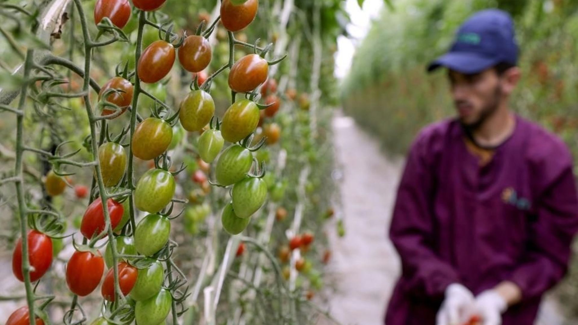 Money xnx ella was smooth to establish rapport and