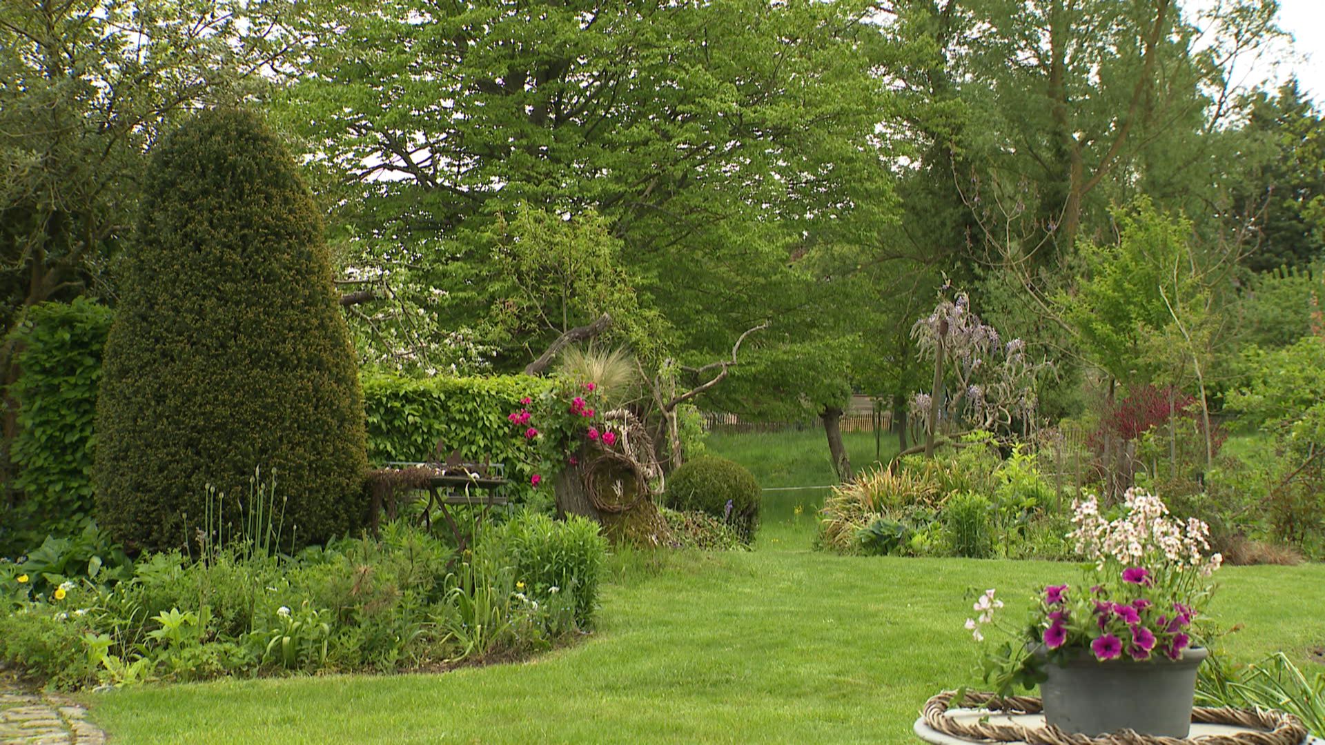 Le Jardin de Françoise : une oasis florale à Ciplet en Hesbaye - RTBF Actus