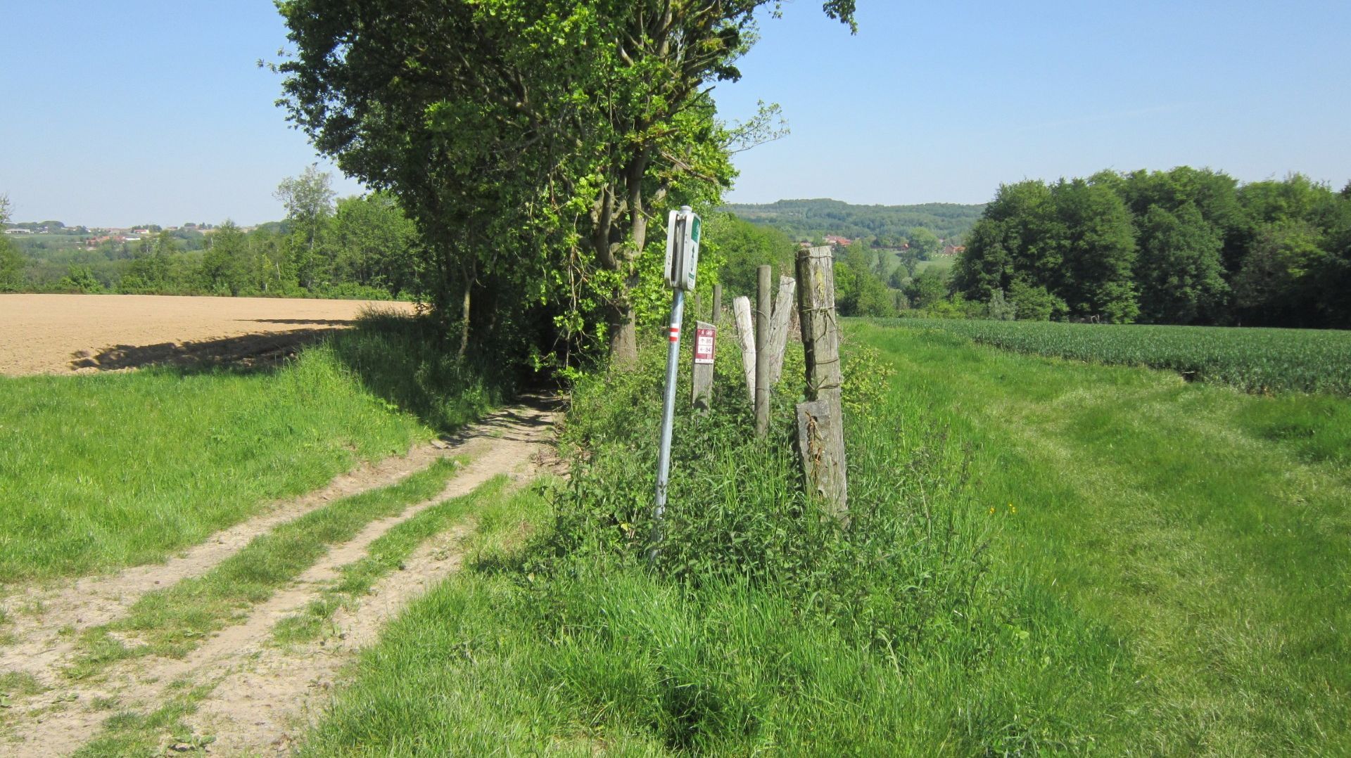 Les 18 marches Adeps du dimanche 9 mars en Wallonie - RTBF Actus