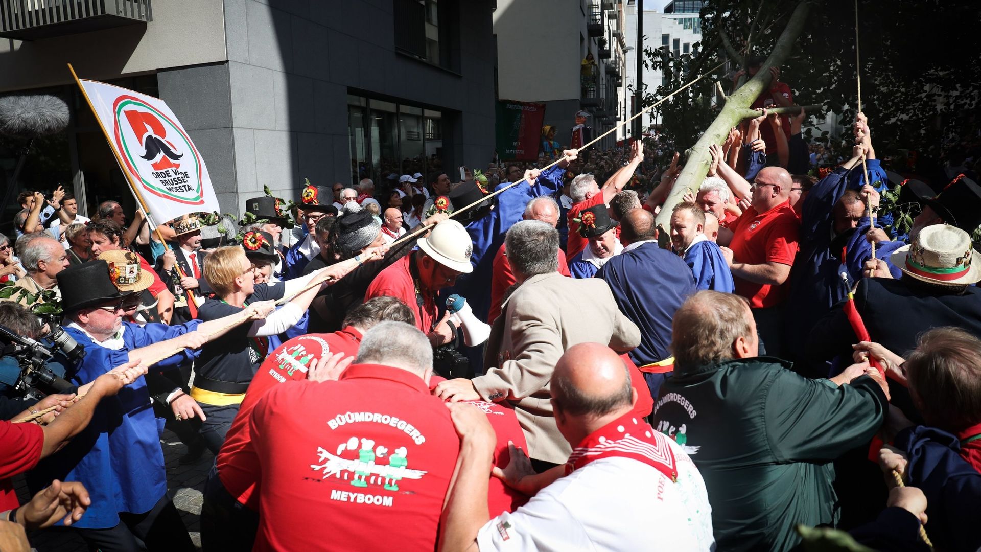 Le 709e Meyboom a bien été planté avant 17h à Bruxelles - RTBF Actus