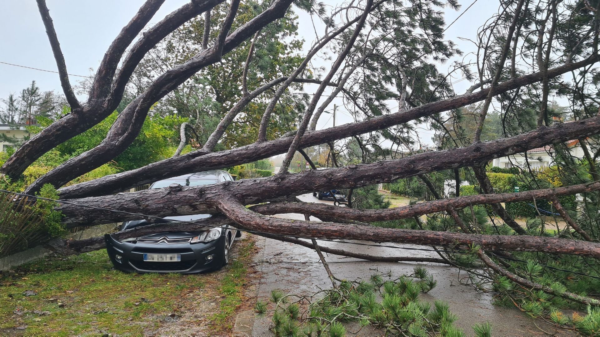 Tempête Ciaran : retour au calme sur le réseau routier belge - RTBF Actus