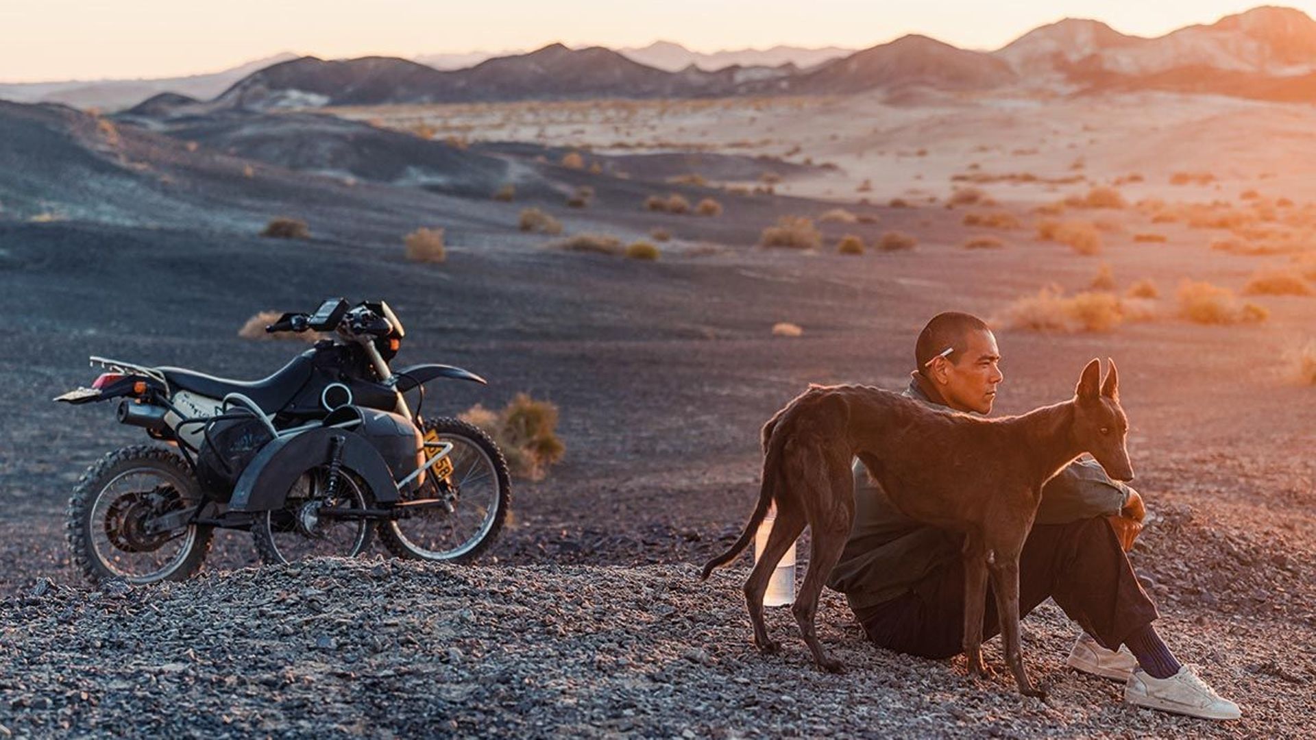 'Ma meilleure ennemie' de Stromae, Pomme feat. Coldplay, c’est dispo ...