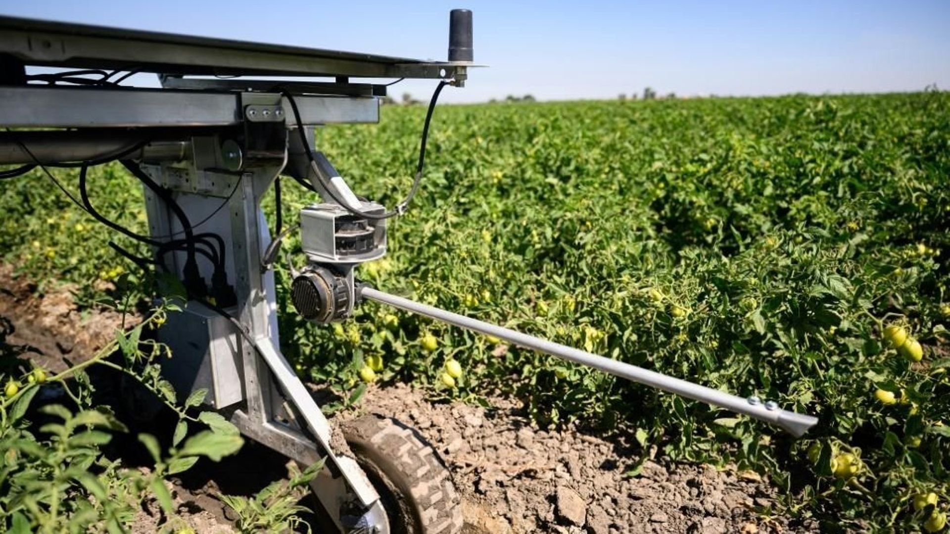 Anna vlasova hot first time with her based on her good