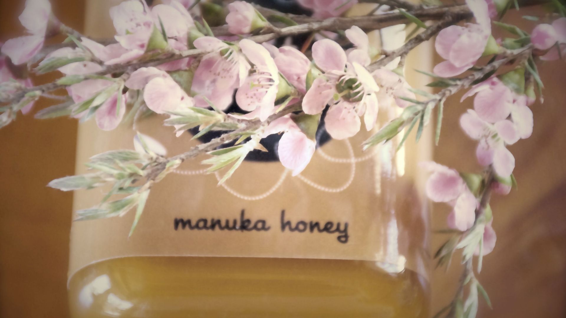 Les vertus du miel de Manuka - RTBF Actus