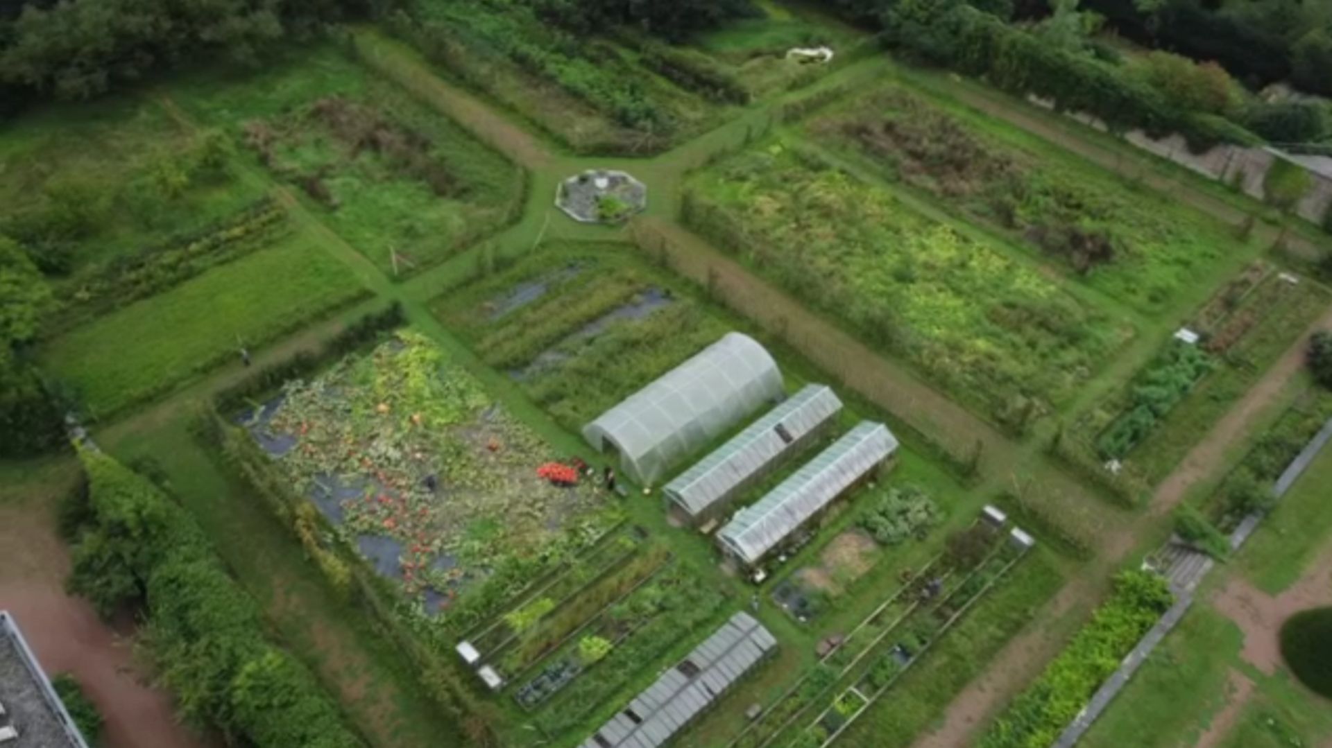 Morlanwelz : Des cours de maraîchage dans le potager classé du Domaine de Mariemont - RTBF Actus