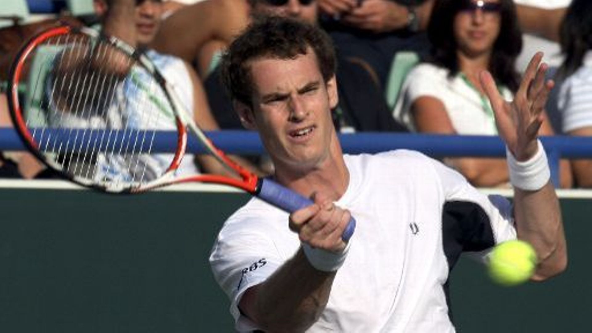 Abu Dhabi : Murray bat Federer - RTBF Actus