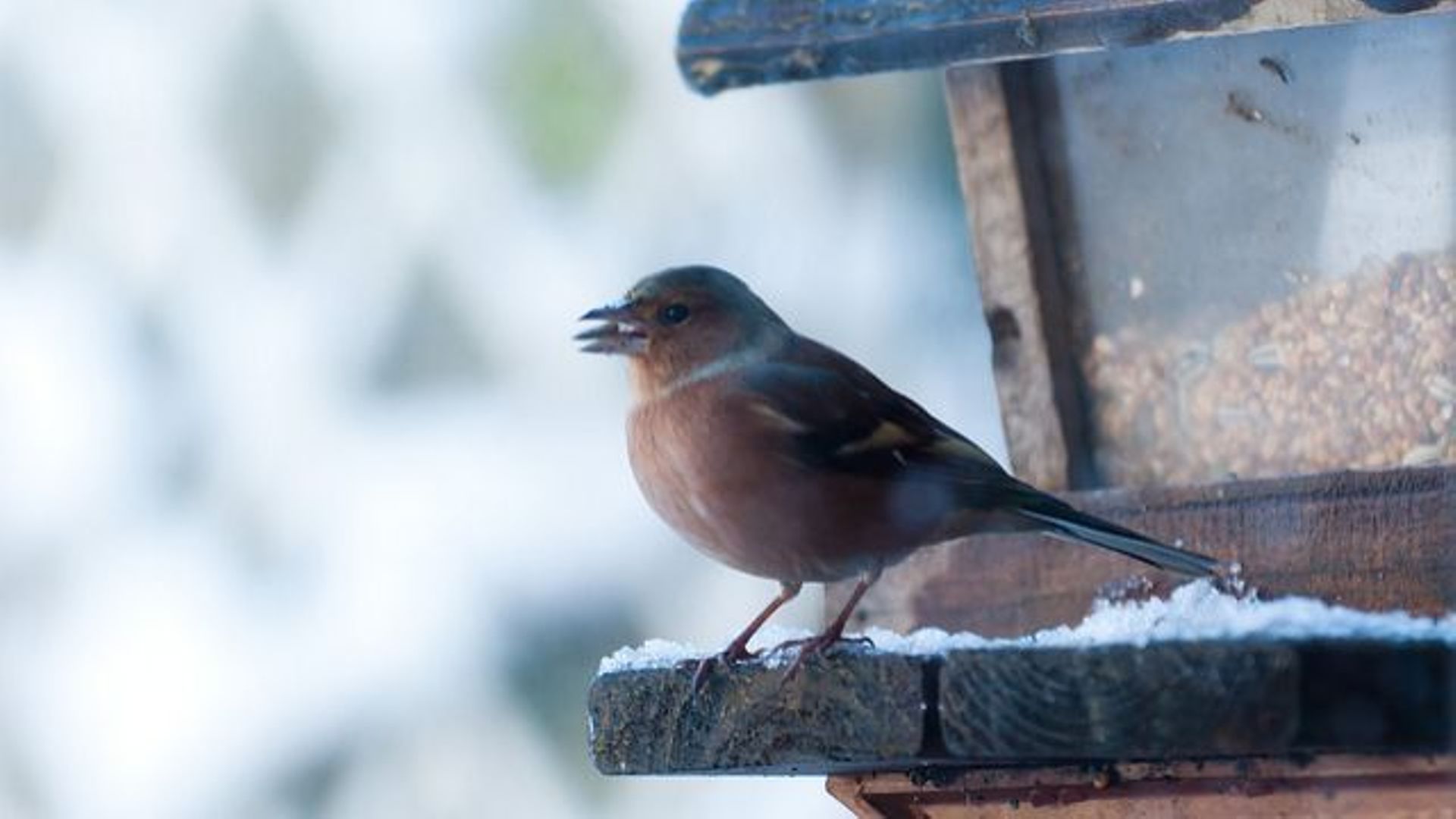 Dour : deux lieux d'accueil accessibles - RTBF Actus