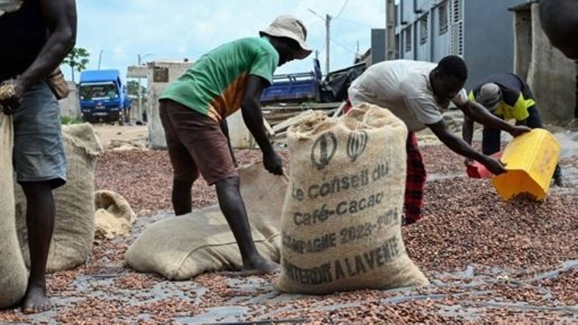 Commerce et chocolat : le prix de la tonne de cacao franchit la barre ...