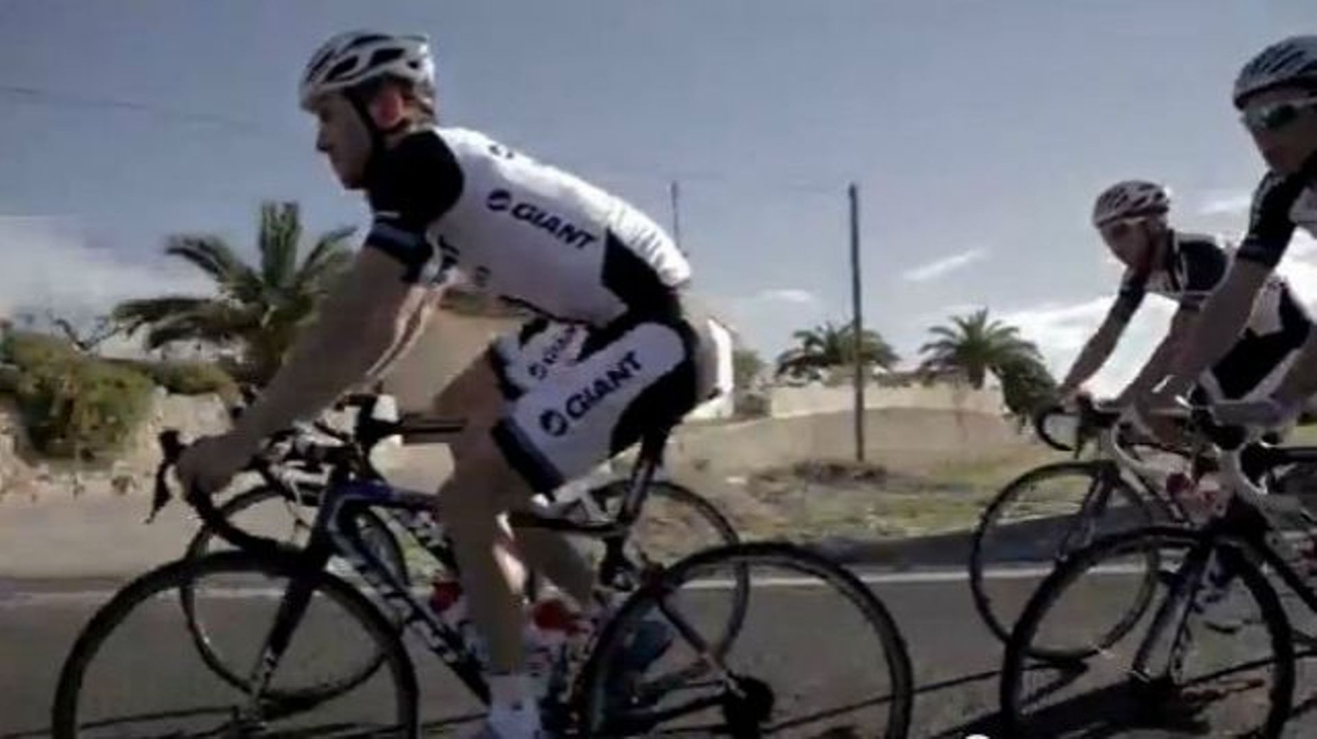 Argos devient Giant pour encore grandir - RTBF Actus