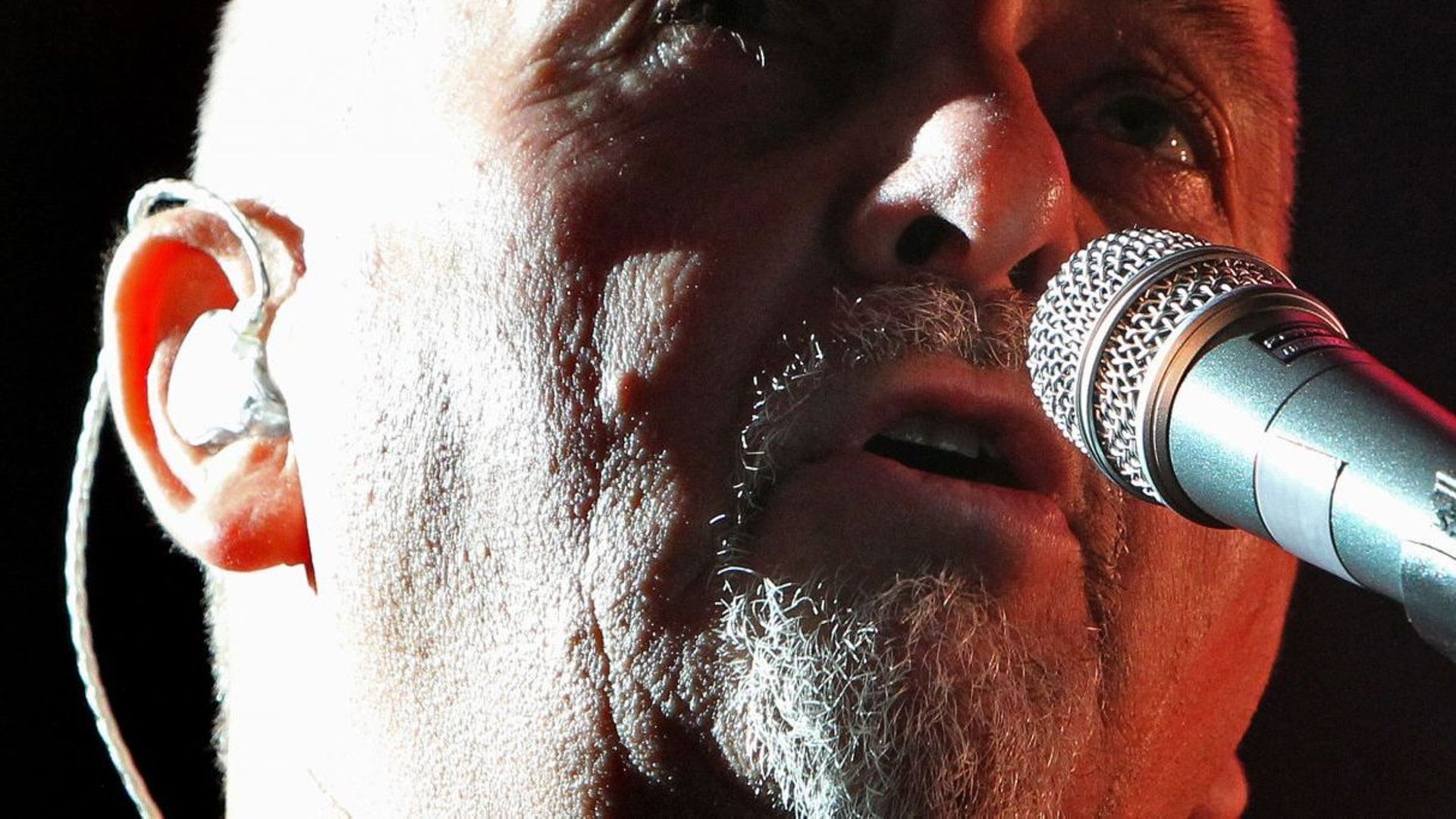 Peter Gabriel veut connecter les animaux à internet - RTBF Actus