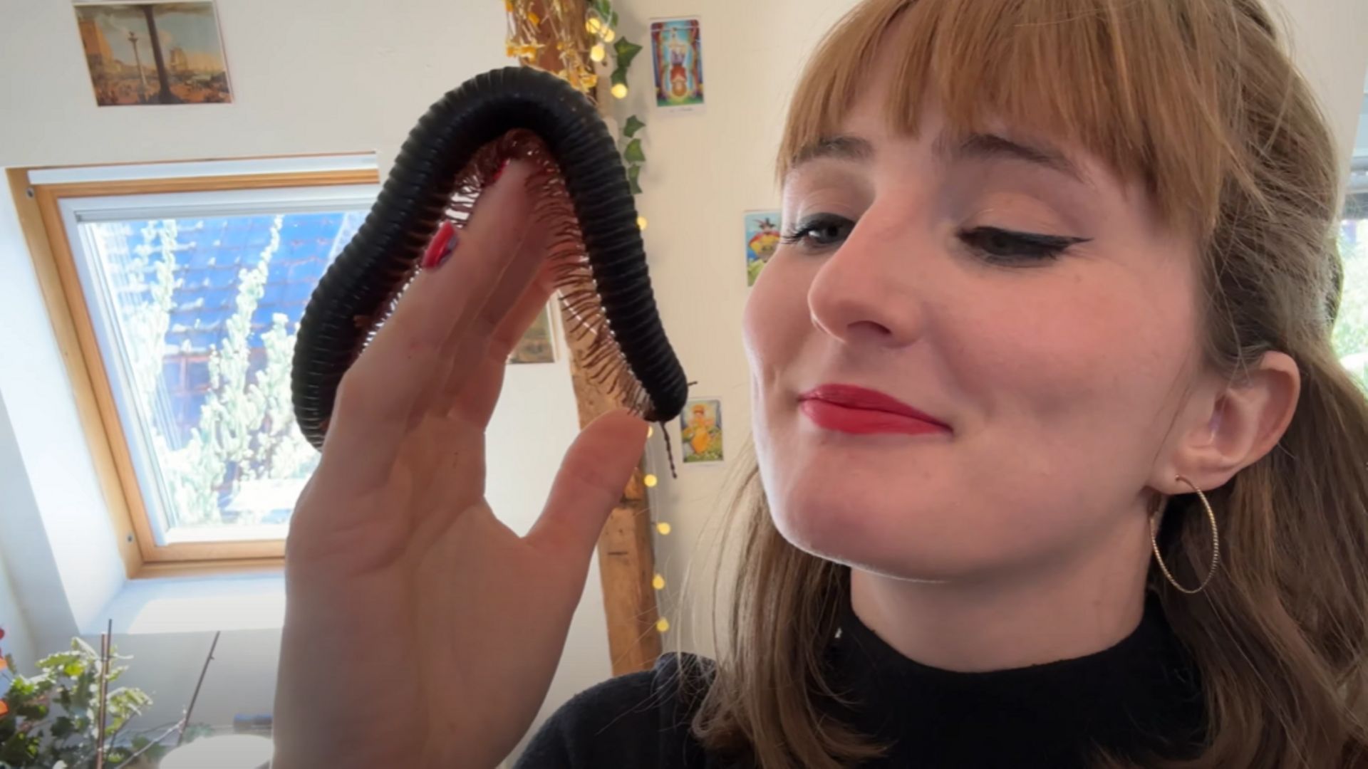 'Léna Scarabête' : l’entomologiste qui fait vibrer TikTok avec sa ...