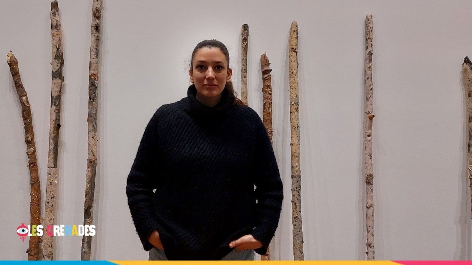 Conseil supérieur de la Justice : Anne Dessy proposée pour remplacer ...