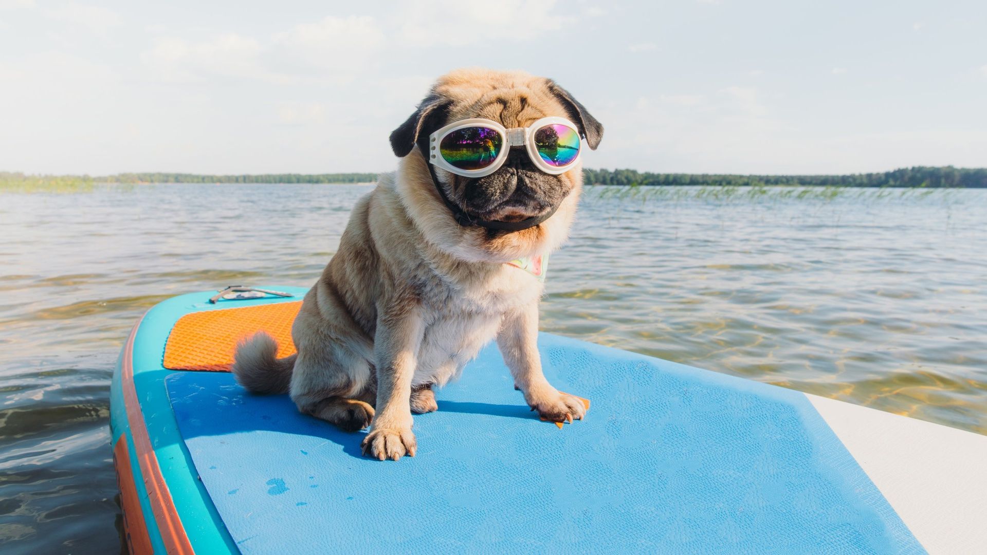 Les activités du week-end du 11 au 13 juillet en Wallonie et à ...