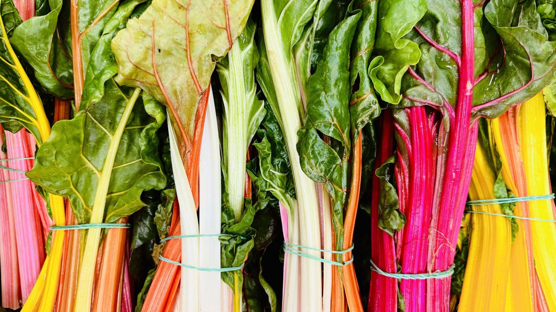 Bettes ou blettes : quelle différence et comment les cuisiner ? - RTBF ...