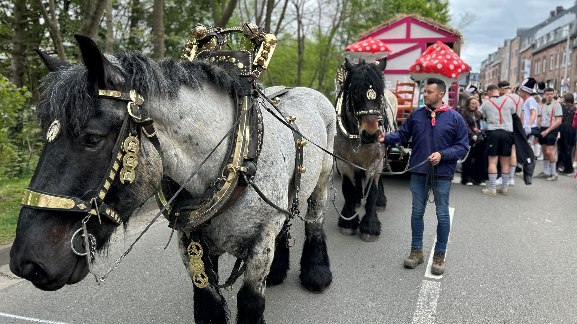 Environ 50.000 visiteurs ont assisté à l'édition 2025 de la Cavalcade ...