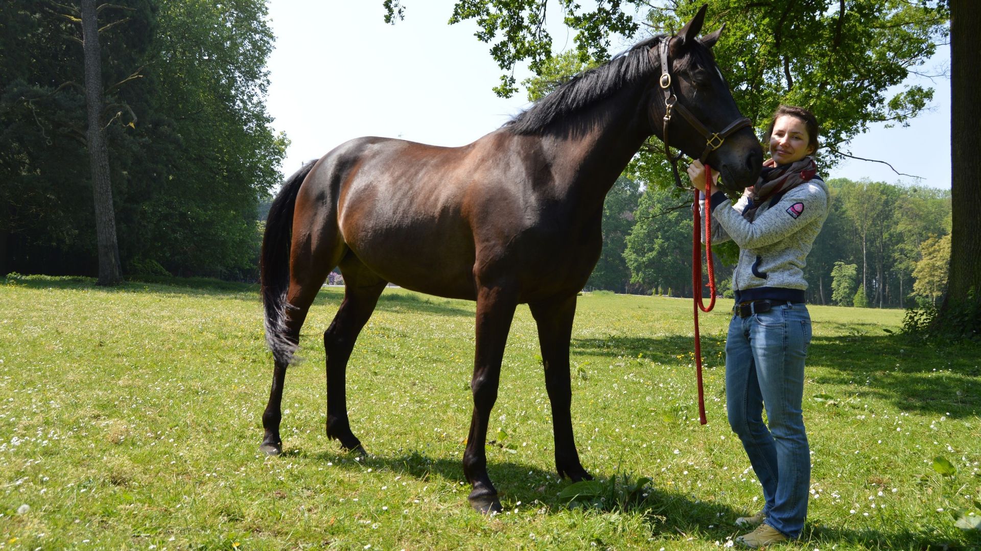 Equitation: du cancer à la médaille de bronze, portrait de la ...