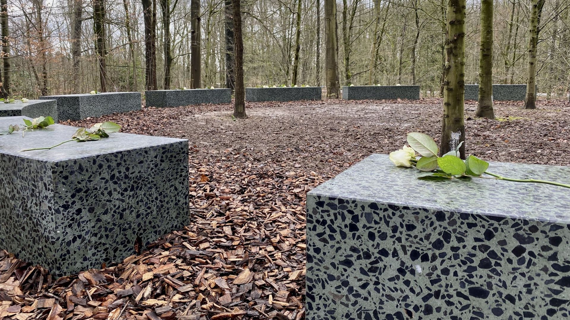 Voilà à quoi ressemble le monument en mémoire aux victimes du Covid ...