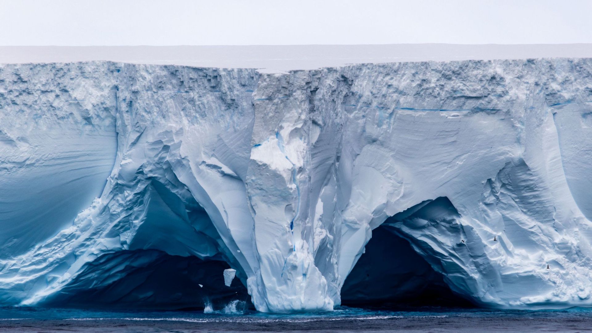 Le plus grand iceberg du monde s’immobilise près d’une île riche en ...
