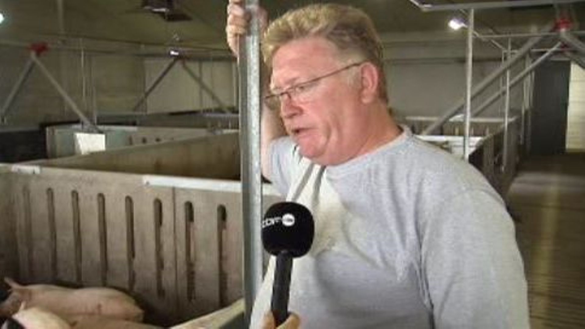 Pourquoi les producteurs de porcs ont du mal à garder la tête hors de l ...