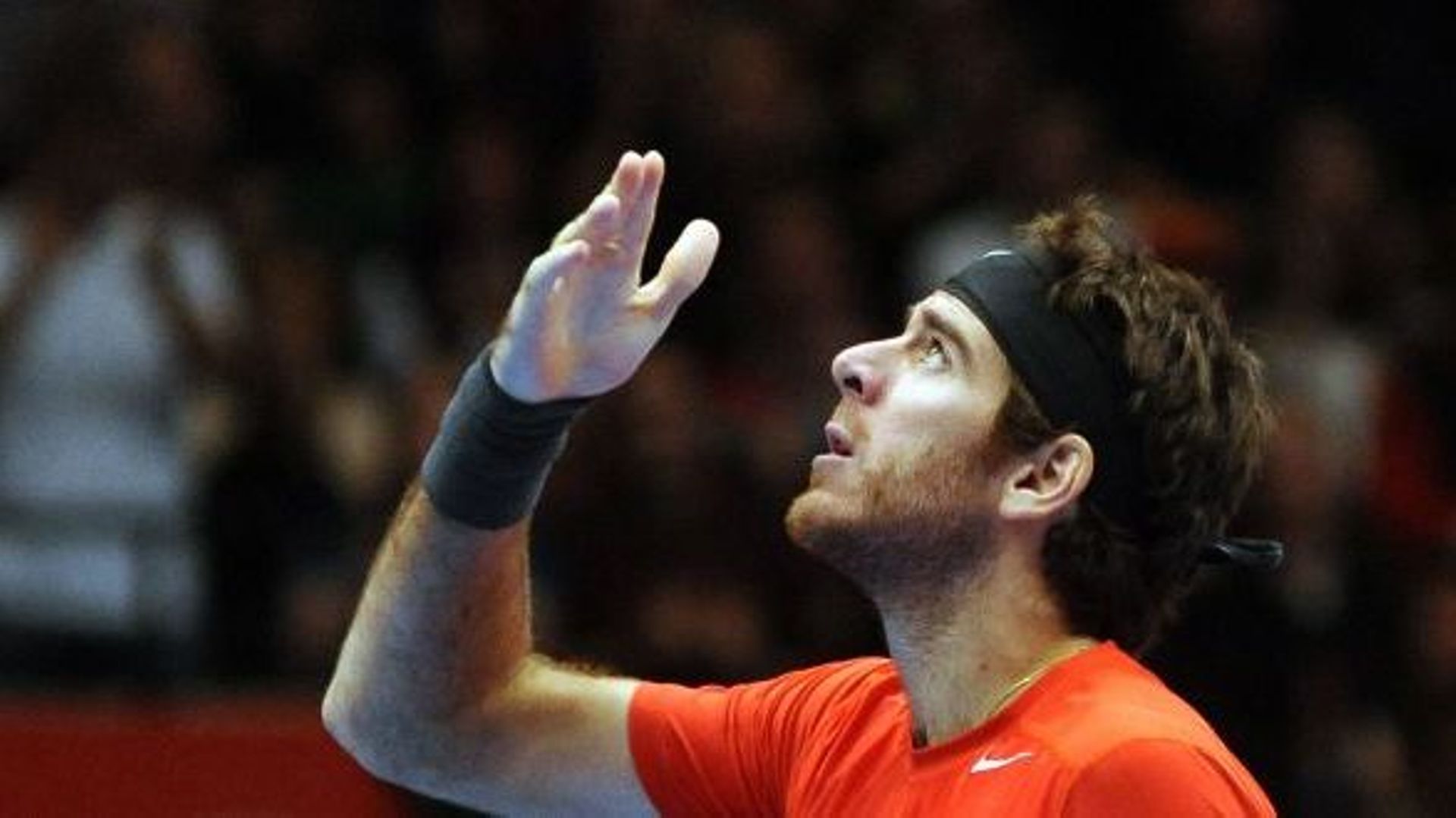 Vienne: del Potro - Tsonga en finale - RTBF Actus