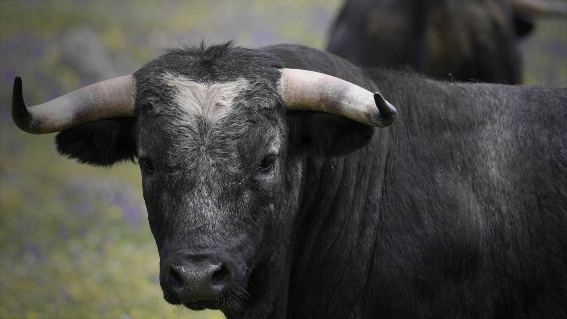Jacques : 'Ce ne sont pas des humains... C'est impossible d'avoir des ...