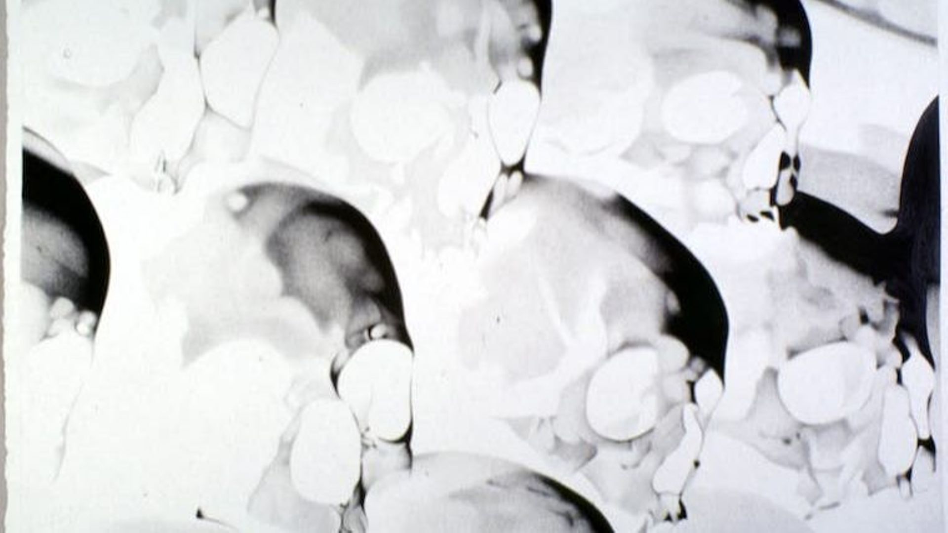 Le BPS22 de Charleroi met en lumière l'artiste new-yorkais Banks Violette - RTBF Actus