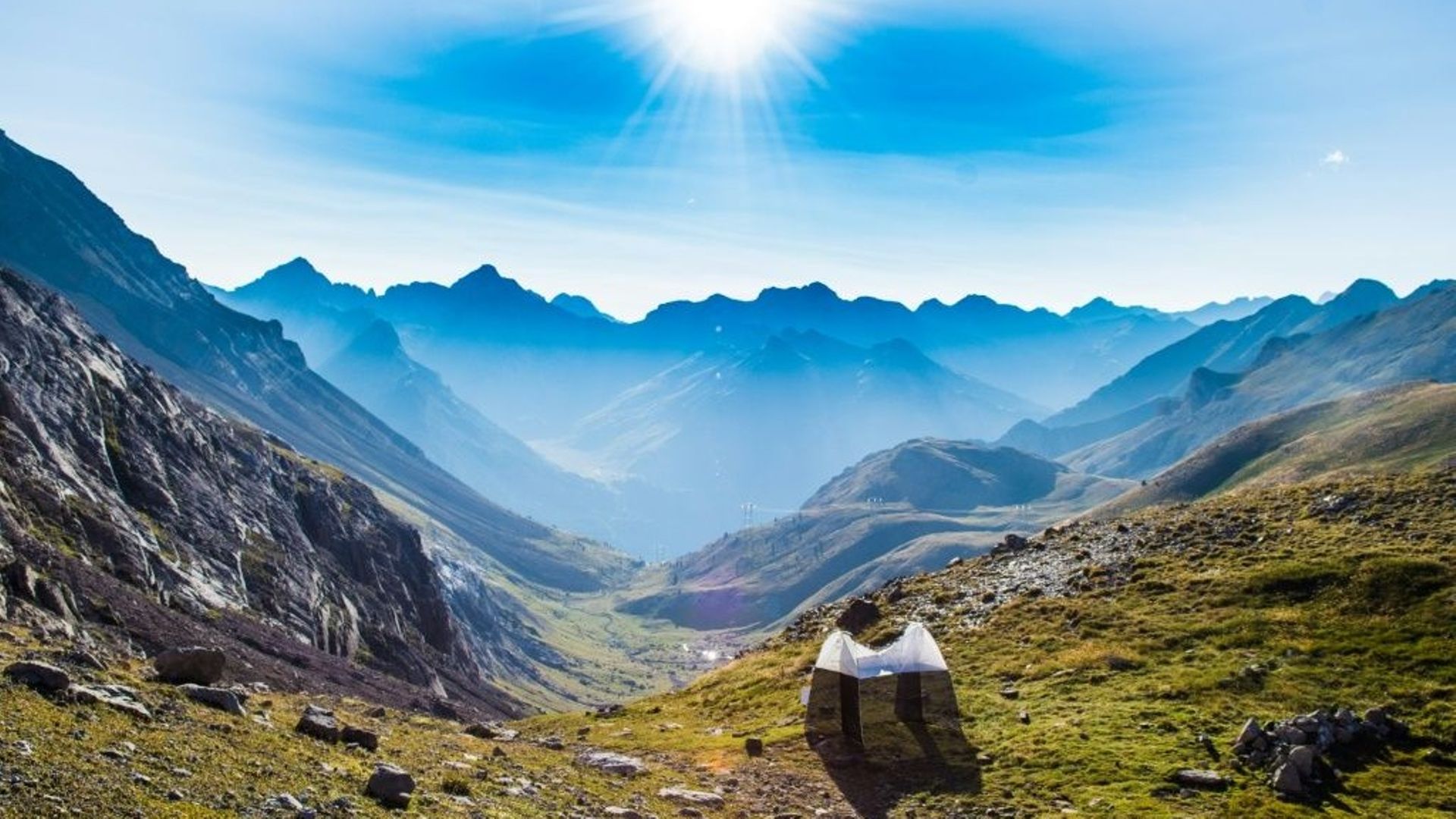 'Léna Scarabête' : l’entomologiste qui fait vibrer TikTok avec sa ...