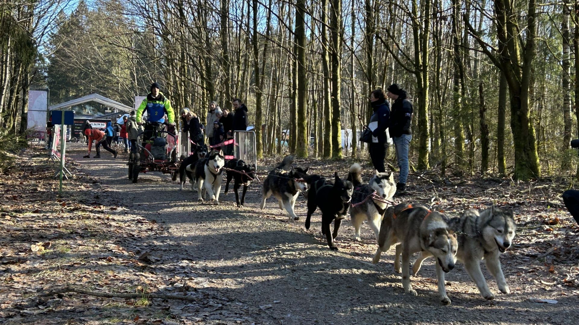 Un premier parc canin inauguré à Braine-l’Alleud - RTBF Actus