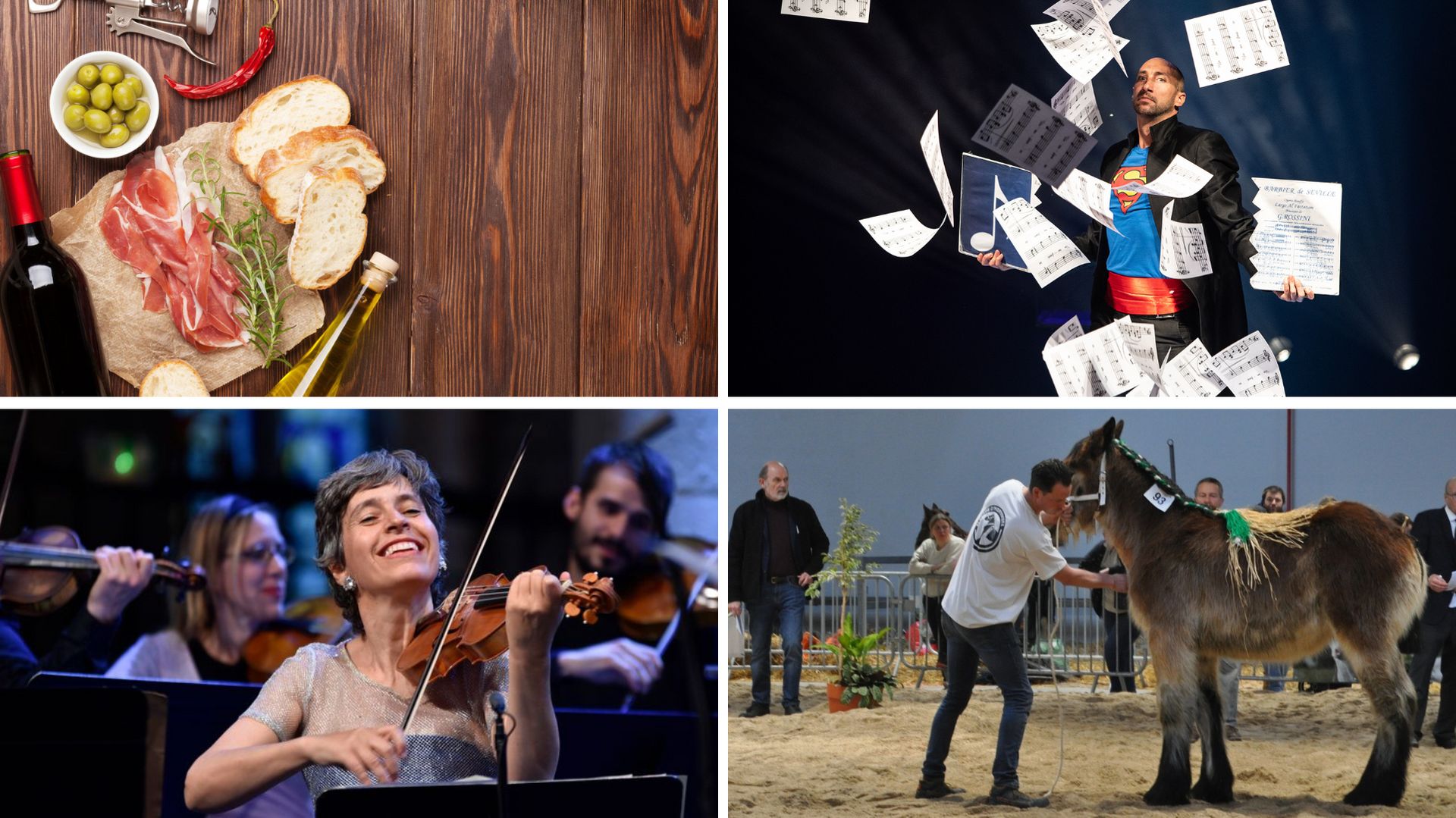 Les activités du week-end du 21 au 23 février en Wallonie et à ...