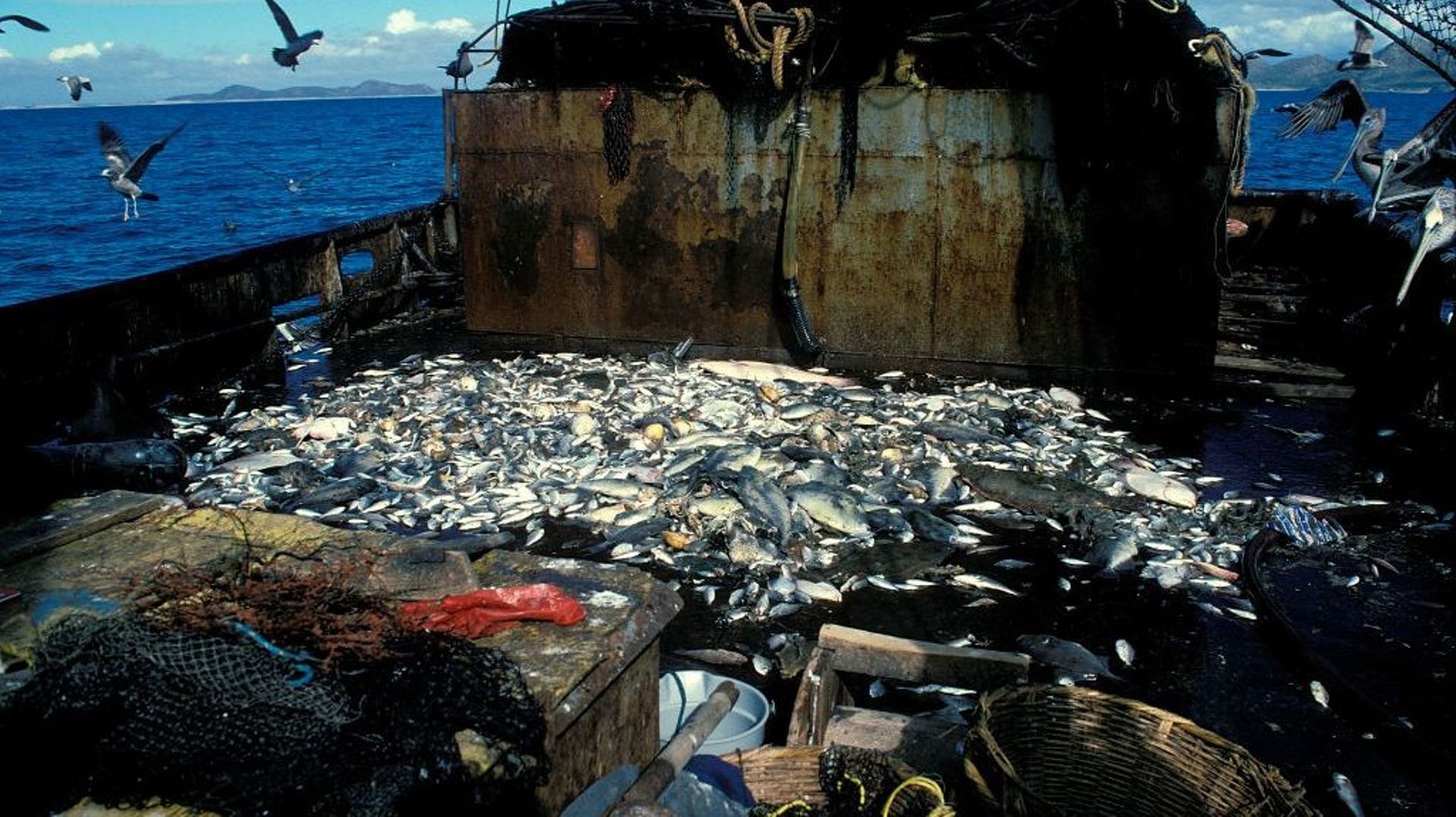 La fabuleuse histoire de l’hôpital Brugmann conçu par Victor Horta ...