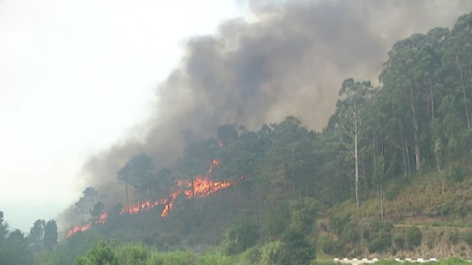 L’île de Madère en proie aux incendies, des pompiers dépêchés depuis ...