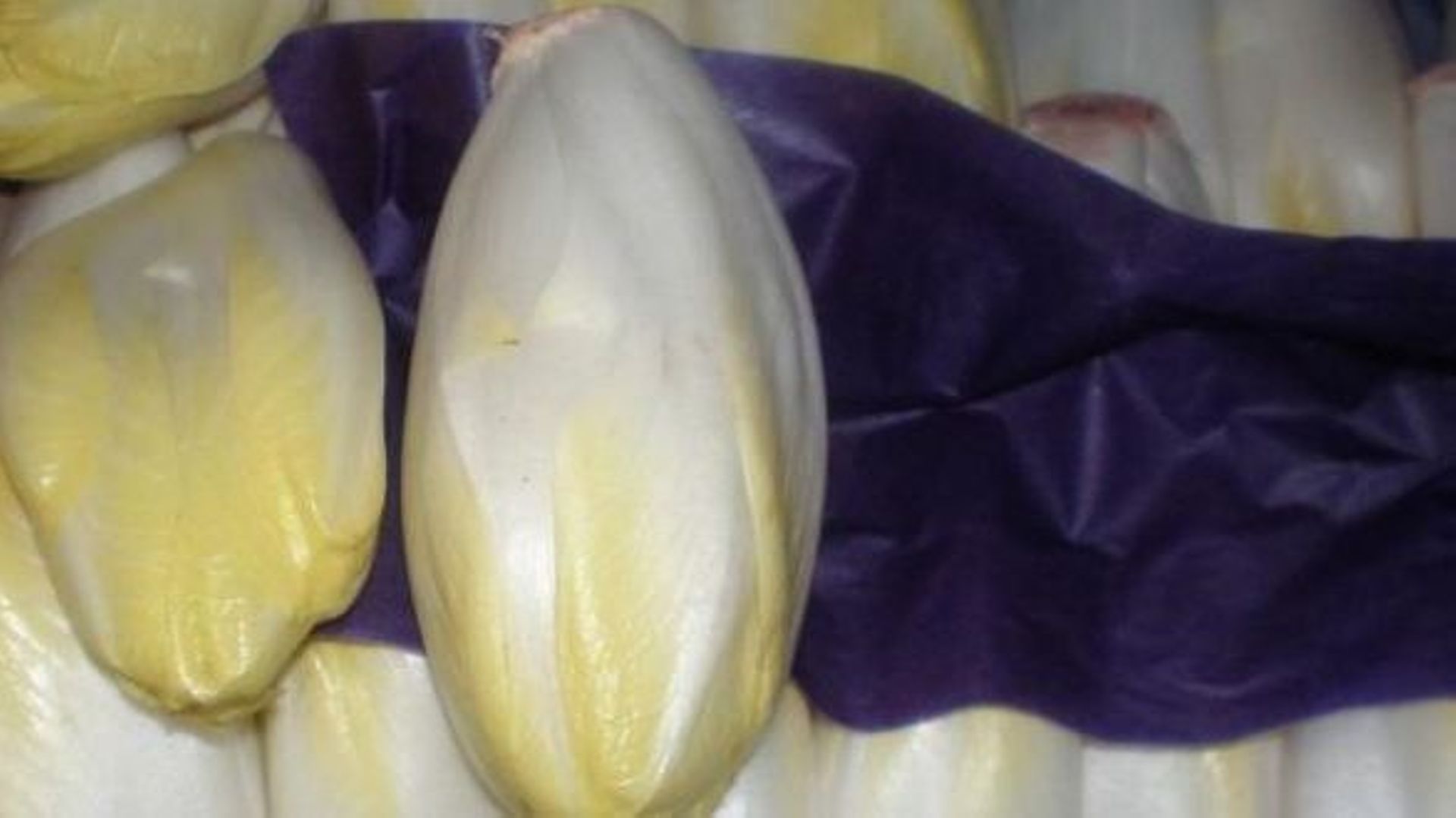 Le chicon, spécialité de Saint-Symphorien - RTBF Actus