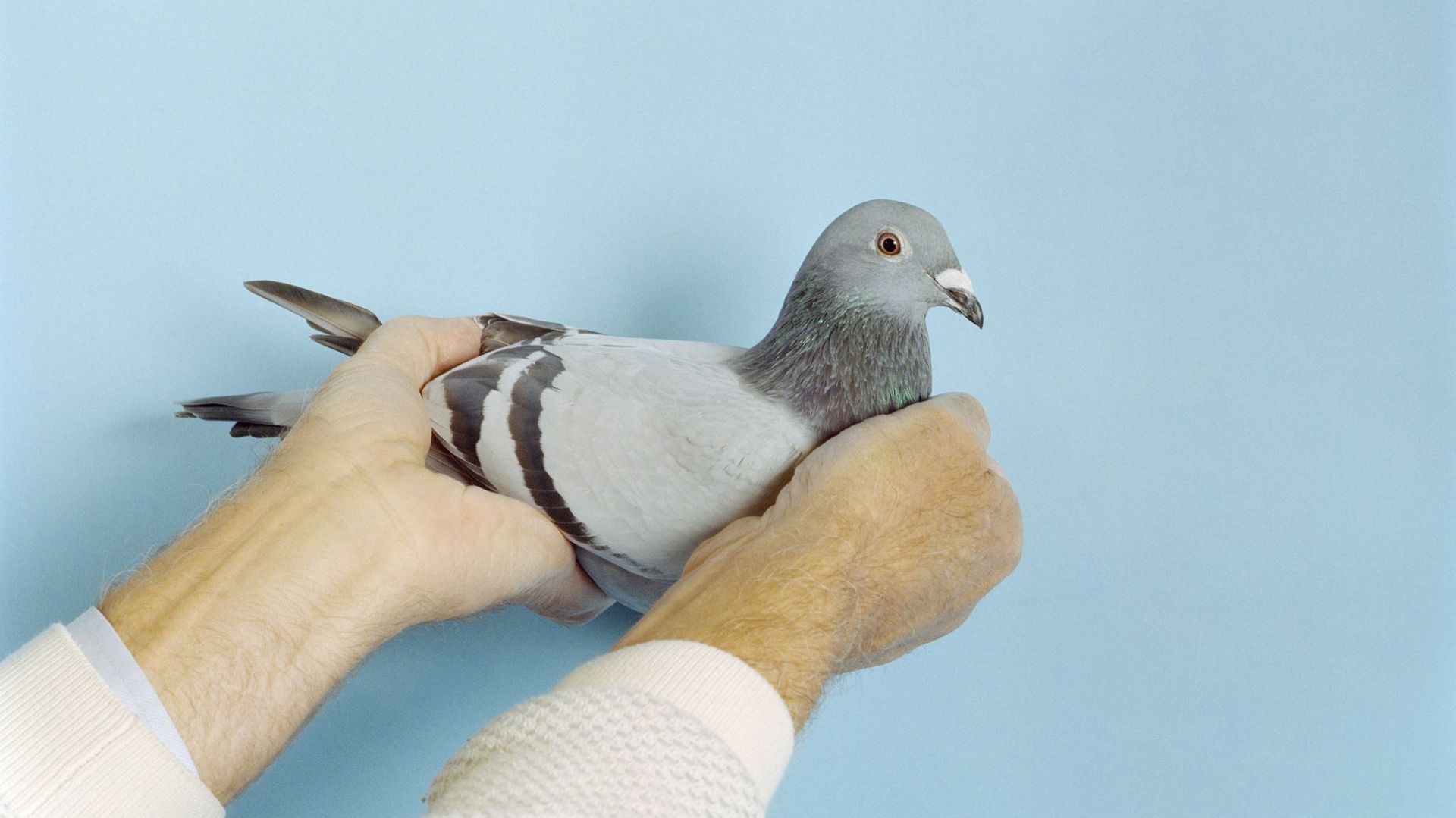 Le Prix National Photographie Ouverte, Prix RTBF, est attribué à Lucas ...