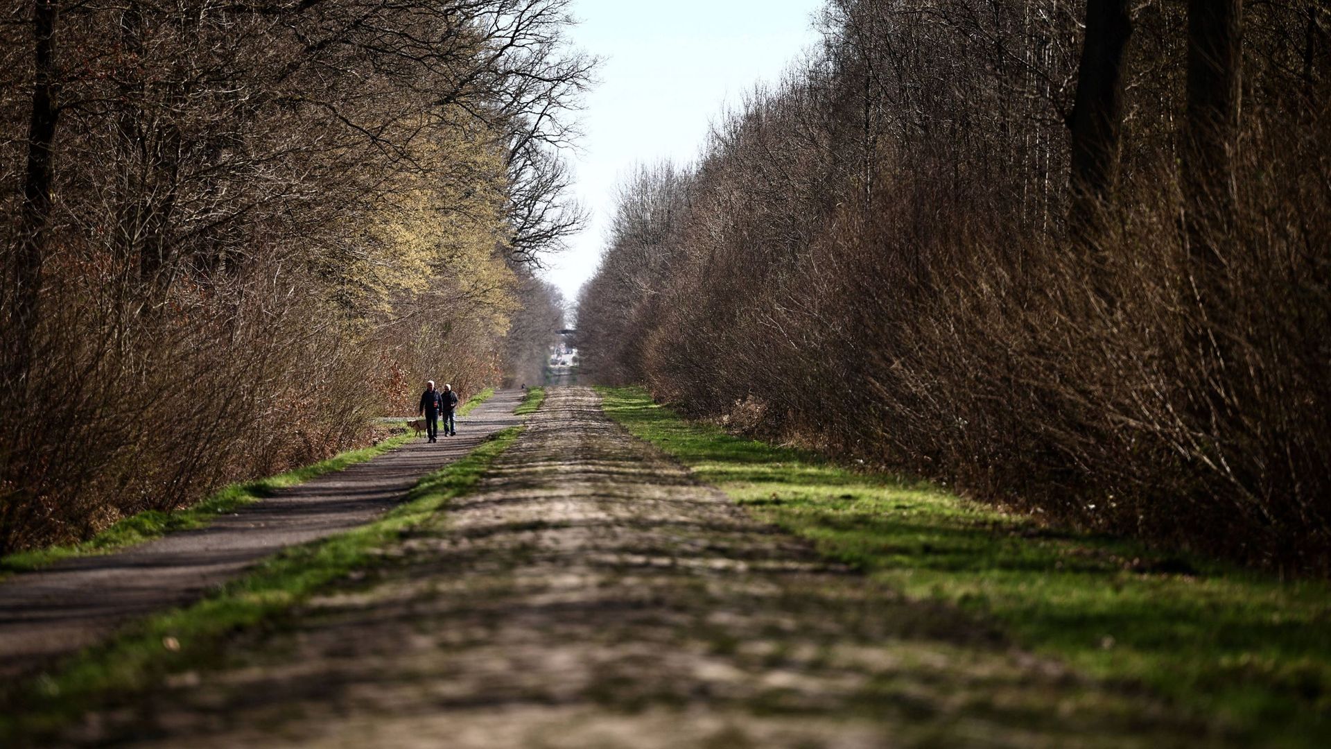 Une nouvelle manière d'aborder la Trouée d'Arenberg et 55,3 kilomètres ...