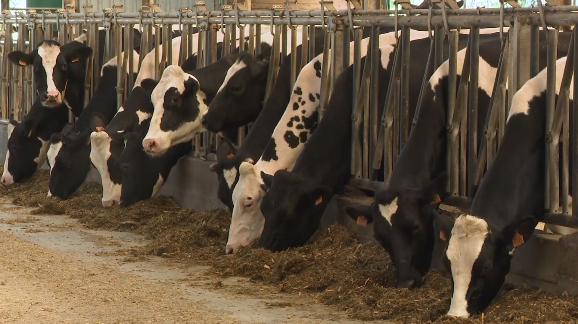 Le géant français Danone se lance dans le 'made in Belgium'. Vraiment ...