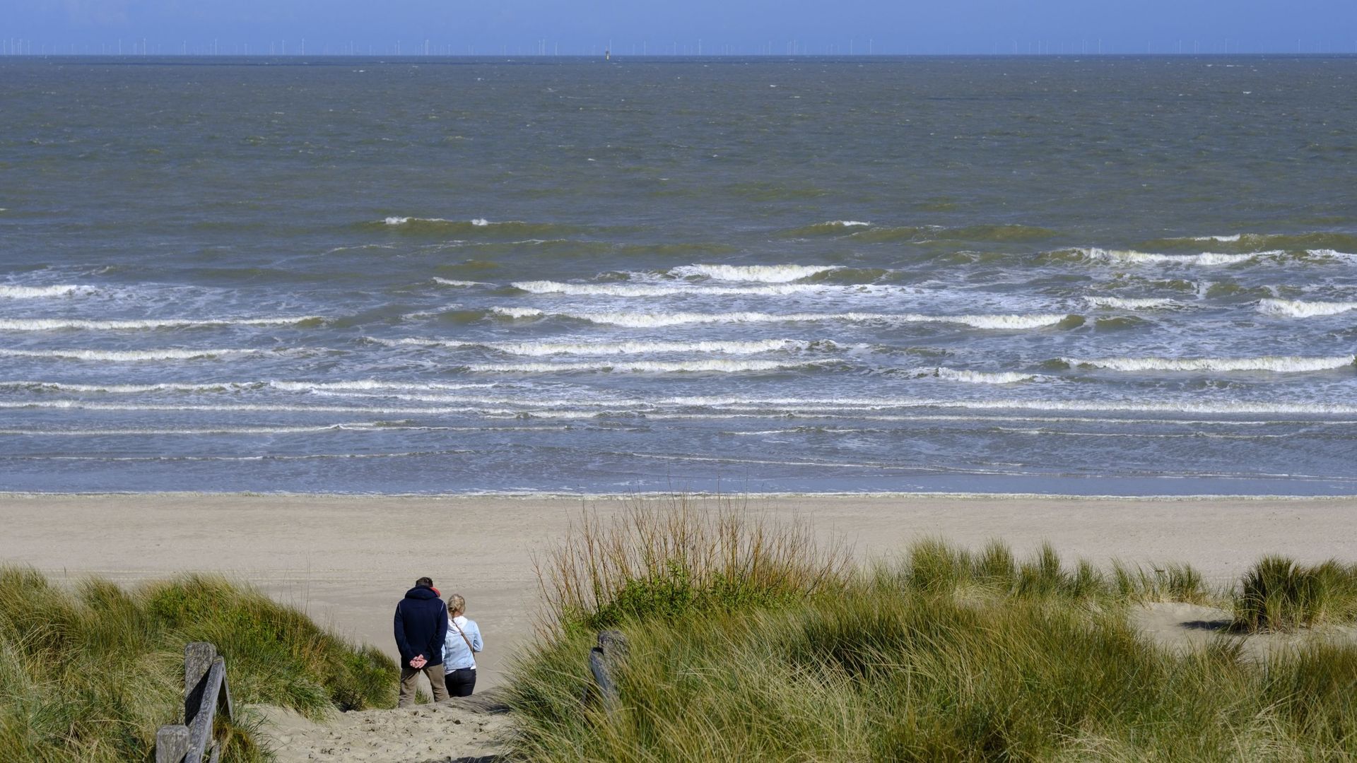 Knokke-le-Zoute a bien failli devenir une mine plutôt qu'une station ...