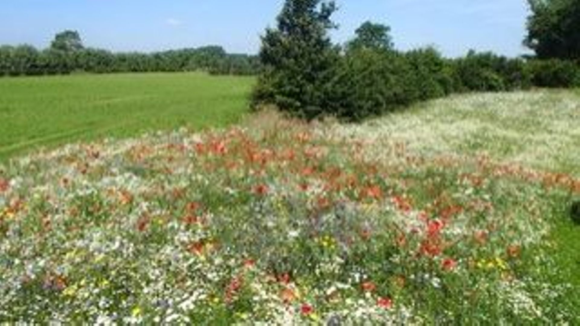 Hoeven Bonem, un domaine aux multiples ambiances - rtbf.be