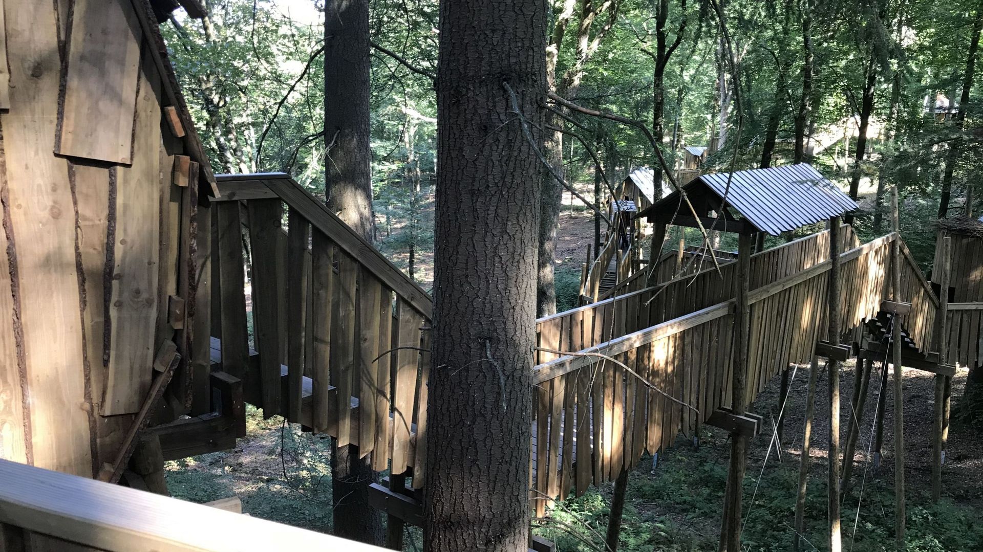 La commune de Manhay regorge de bonnes adresses ! - RTBF Actus