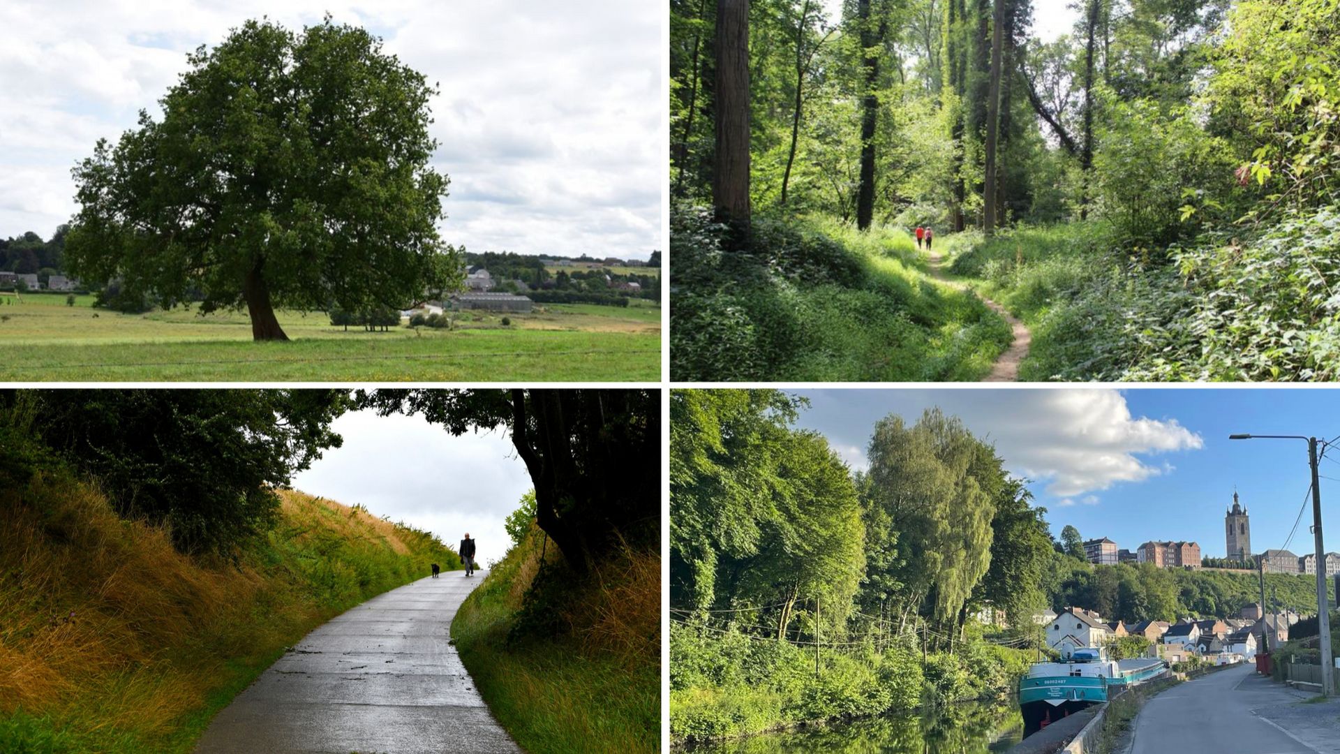 Les 14 marches Adeps du dimanche 4 août en Wallonie - RTBF Actus