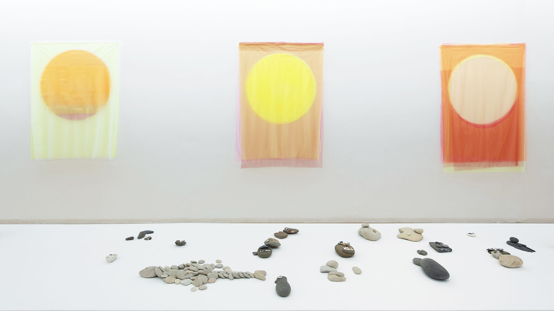 Nouvelles expos au MACS : les photographies délicates de Jochen Lempert ...