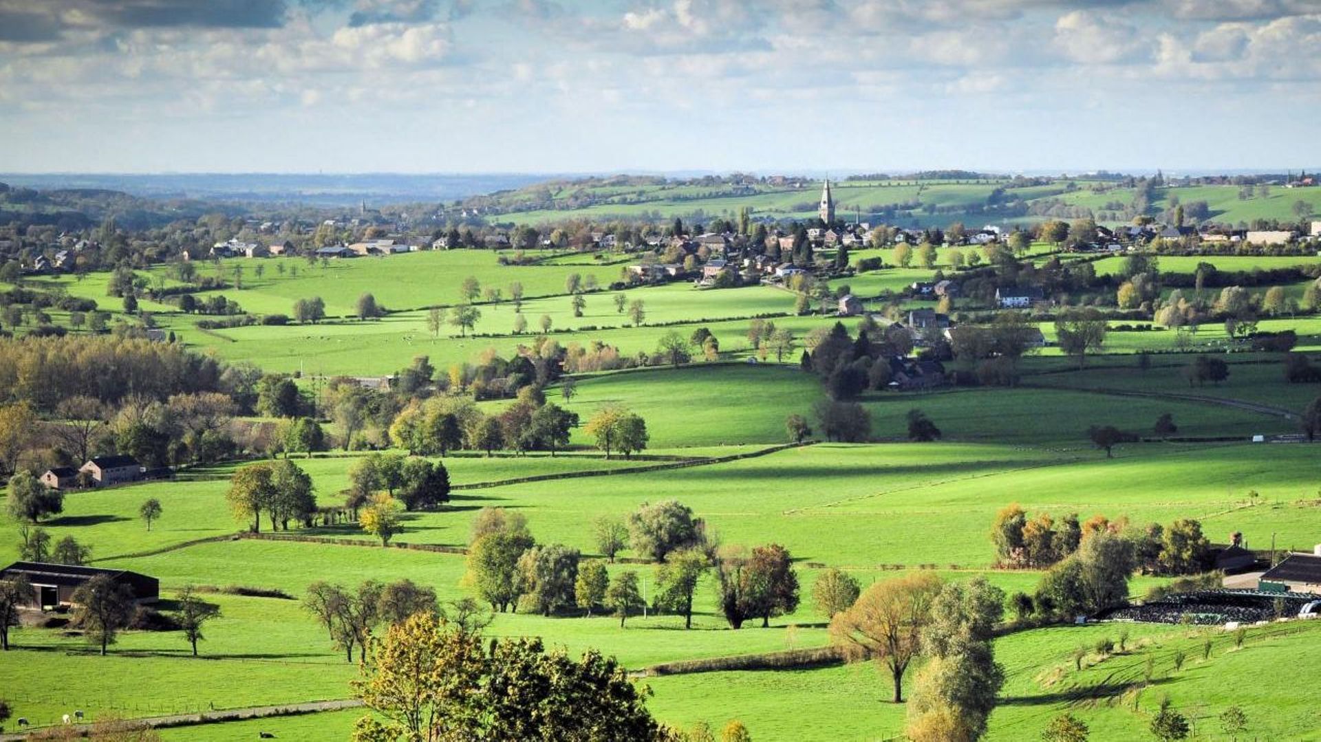 Bocage, ô mon bocage... - RTBF Actus