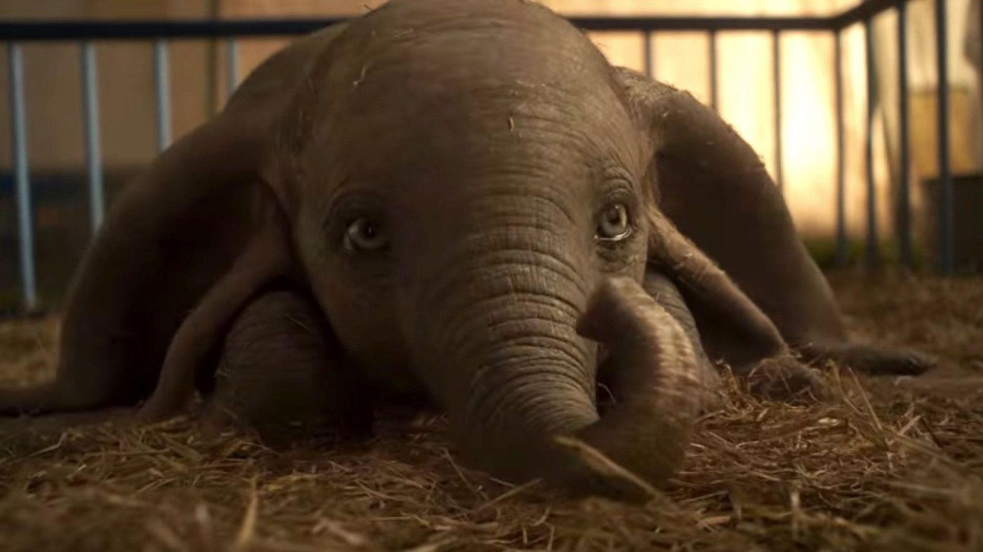 Un titre rempli d'émotion d'Arcade Fire pour le film Dumbo - RTBF Actus