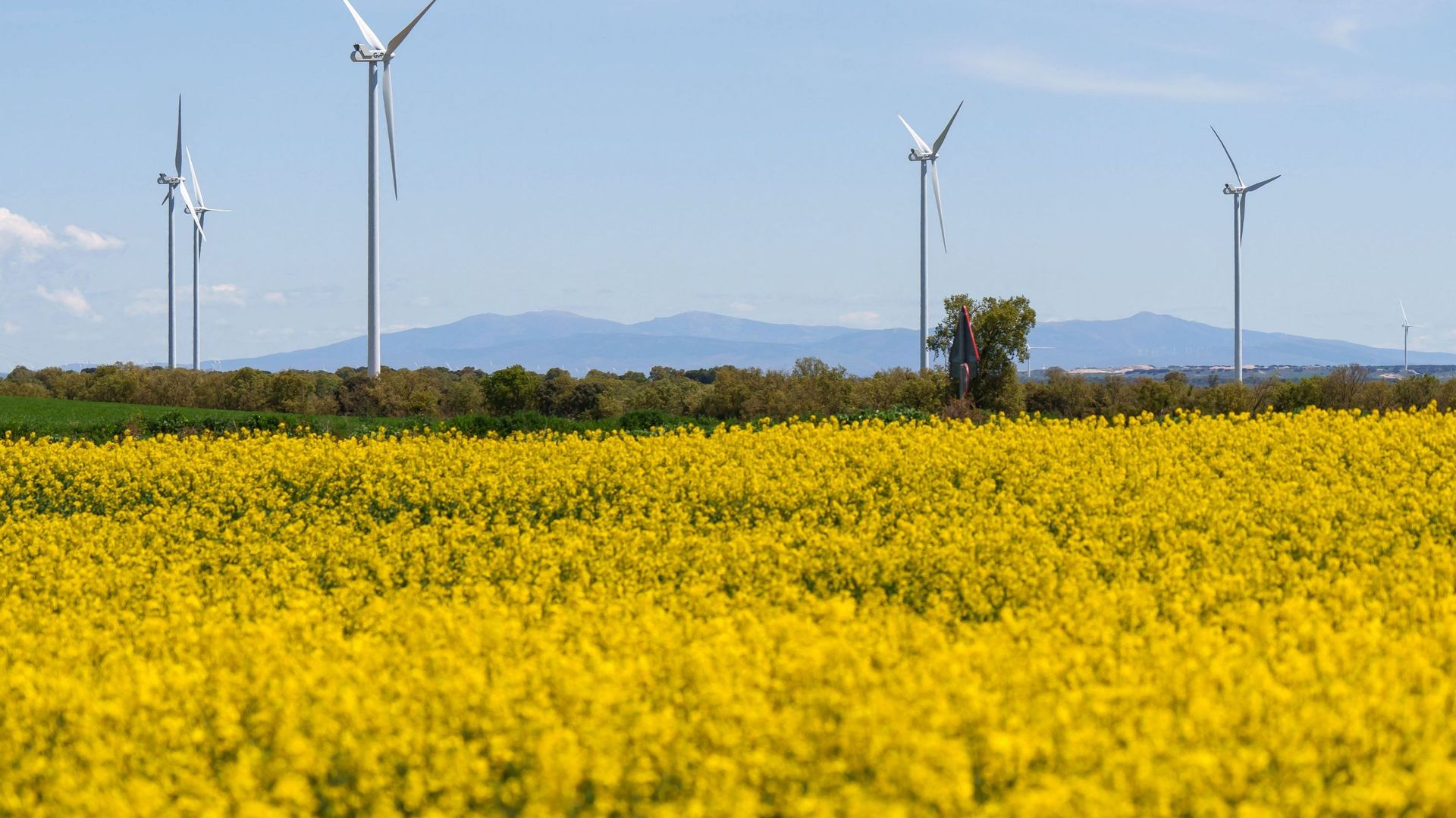 Quand l’éolien et le solaire servent de boucs émissaires au black-out ...