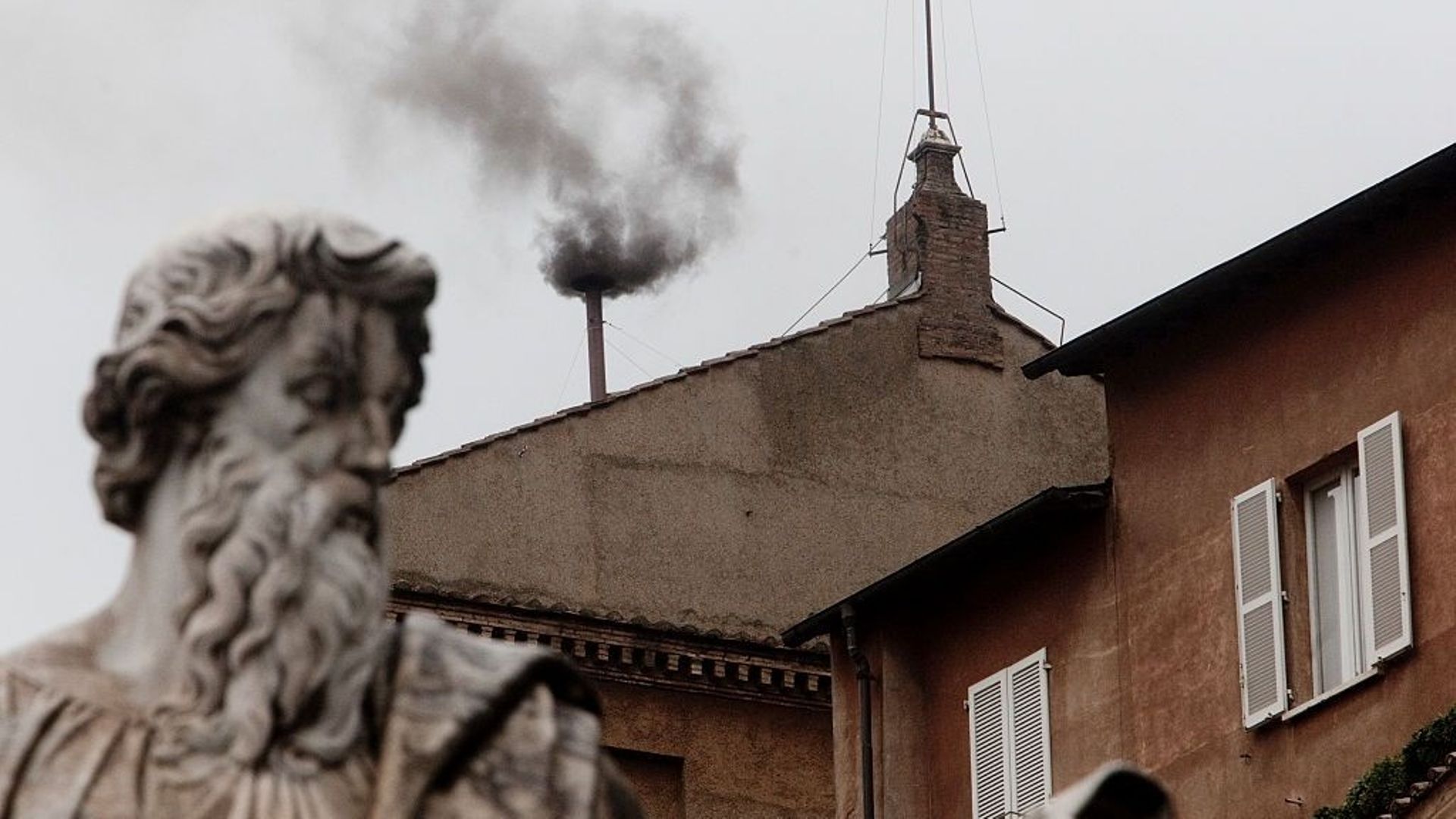 Vol au-dessus d’un nid de cardinaux : la mouette du conclave et la ...