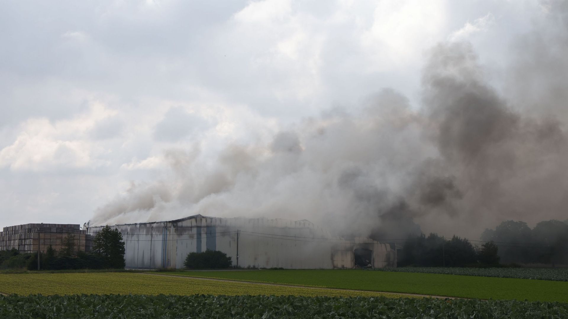 Grace coffey naked leaked new girl in the line-up named