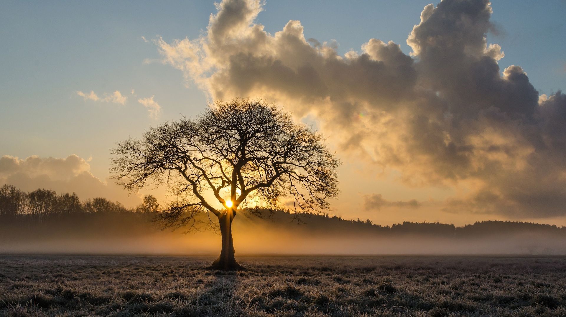 Les nuages de basse altitude, victimes aussi du dérèglement climatique ...