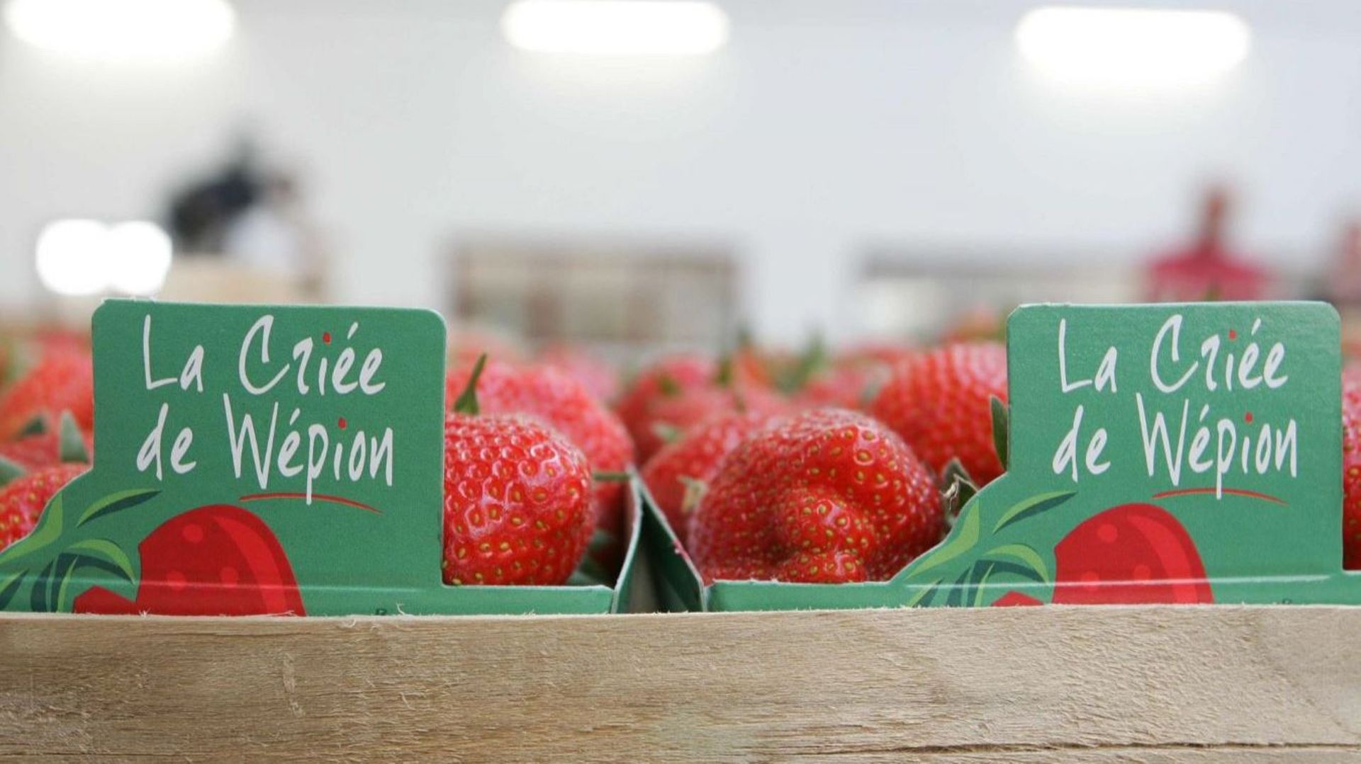 Une criée virtuelle, une (petite) révolution dans le monde la fraise de ...