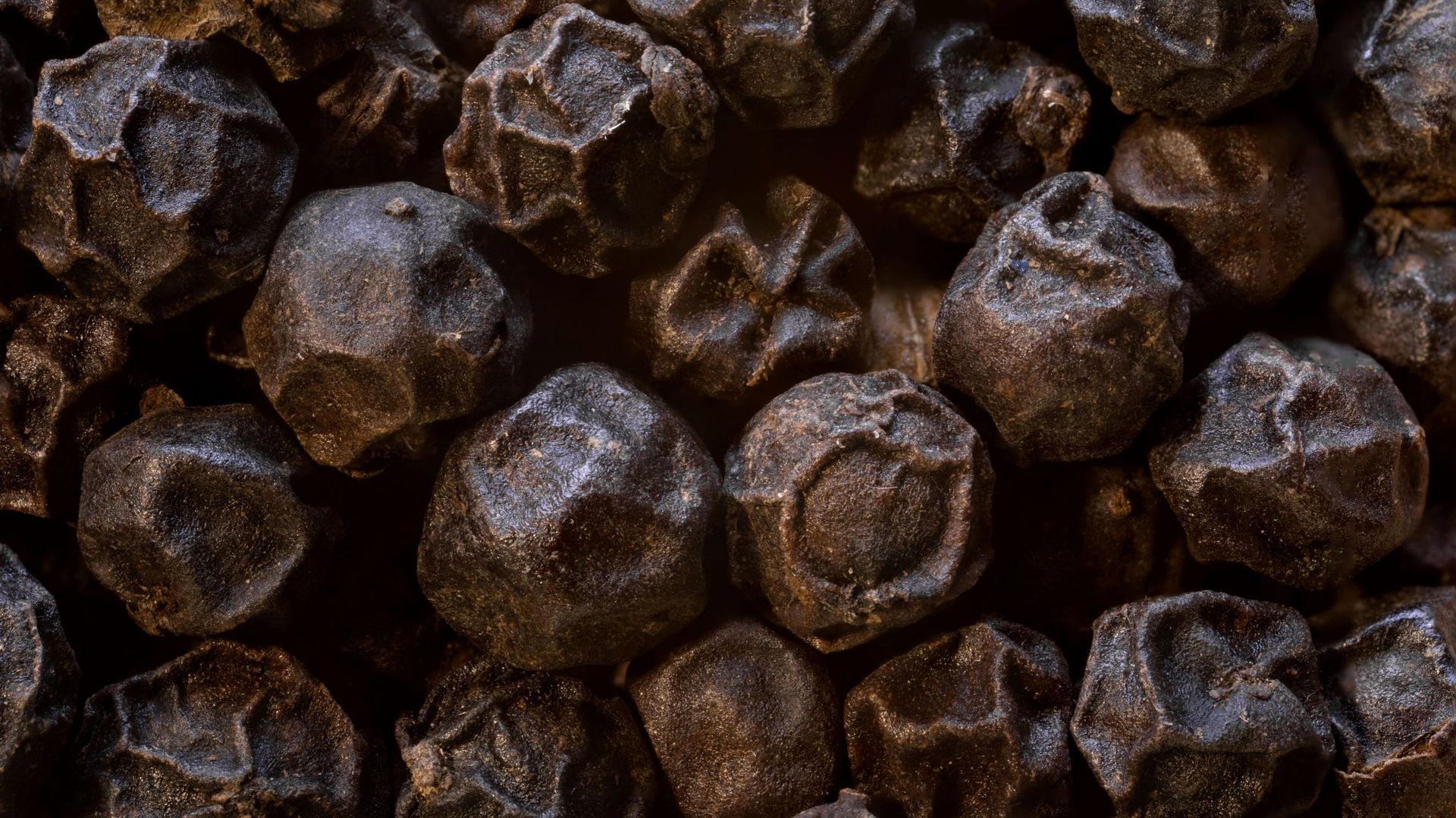 Le poivrier de Timut, une plante envoûtante et piquante au jardin d ...